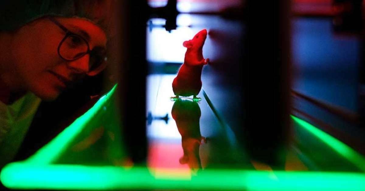 Home - Noldus Academy